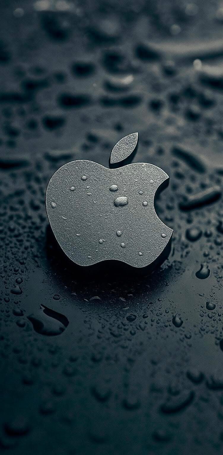 Most Popular All Dimension Wallpapers