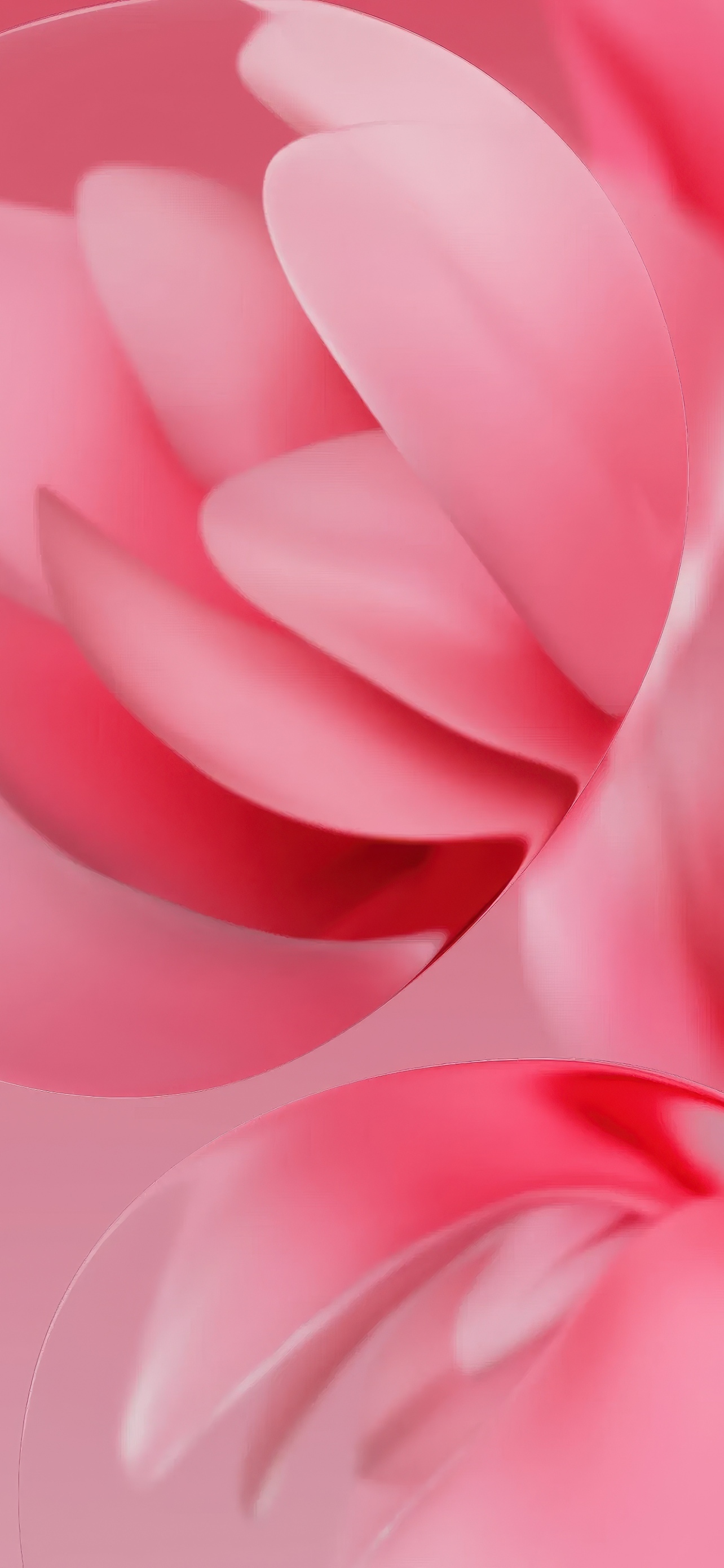 Cherry Blossom 4K Most Popular Desktop Wallpapers 6K Backgrounds 8K ...