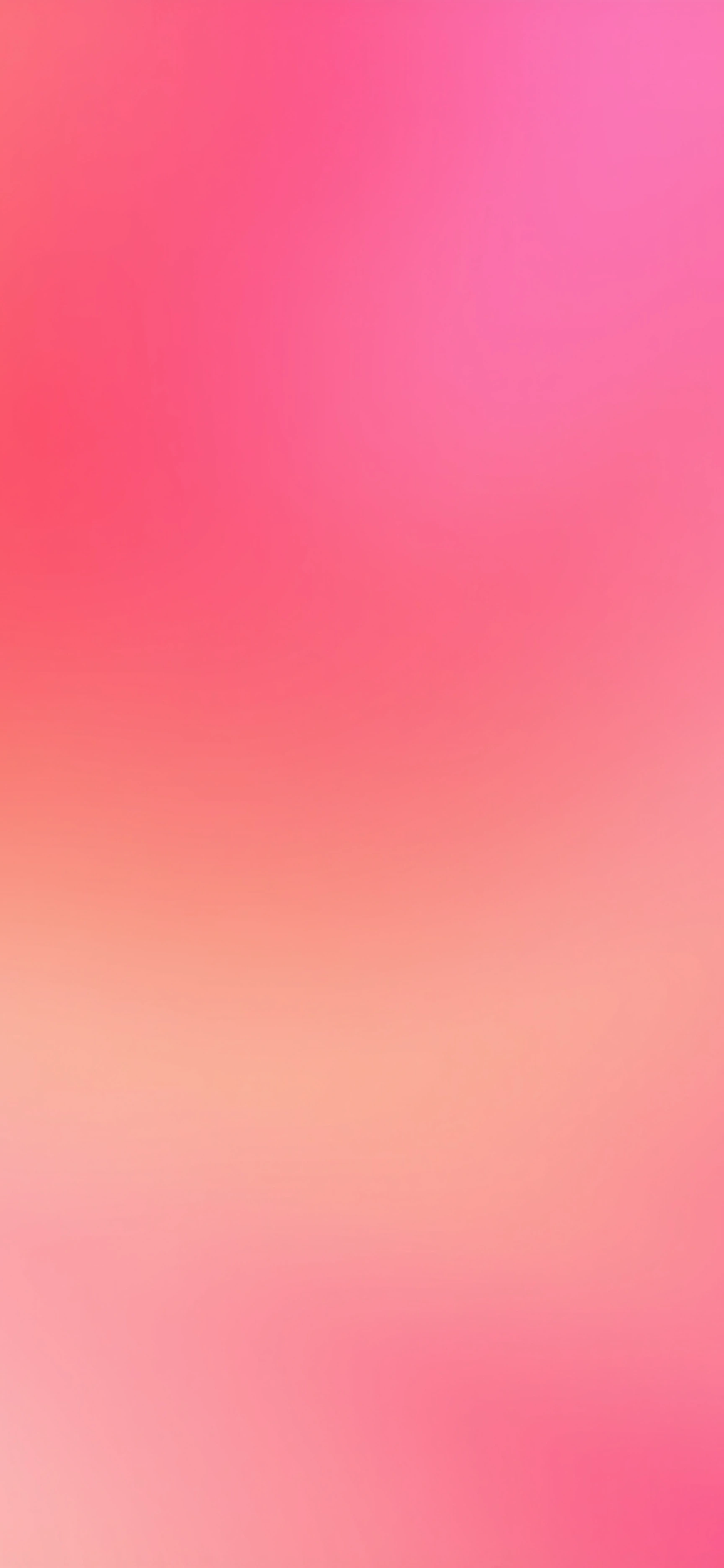 A High Contrast And Saturated Coloured With A Mixture Of Pink, Orange ...