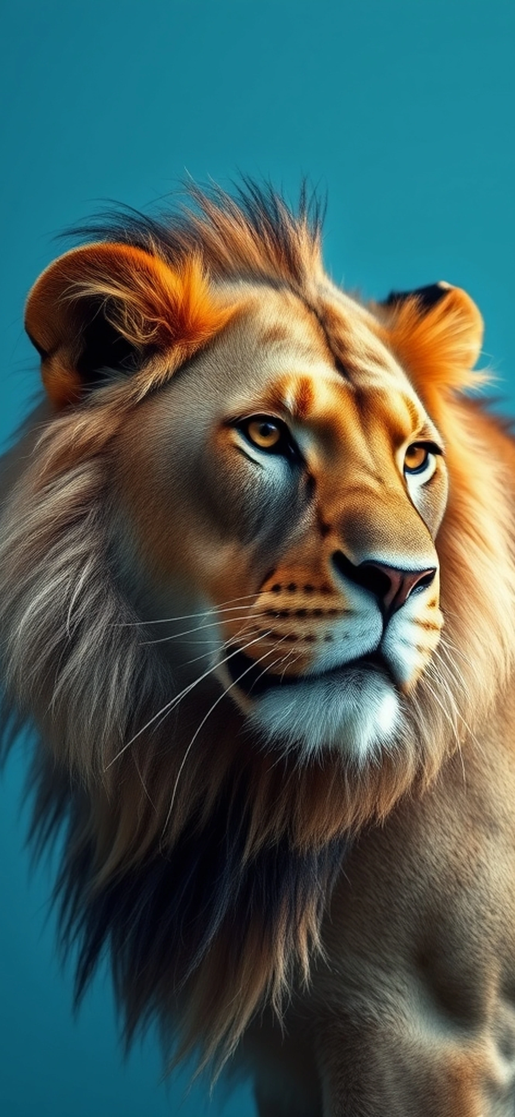 Lion Side View Looks Dangerous But Calm — Free iPhone Wallpaper (4K/HD ...