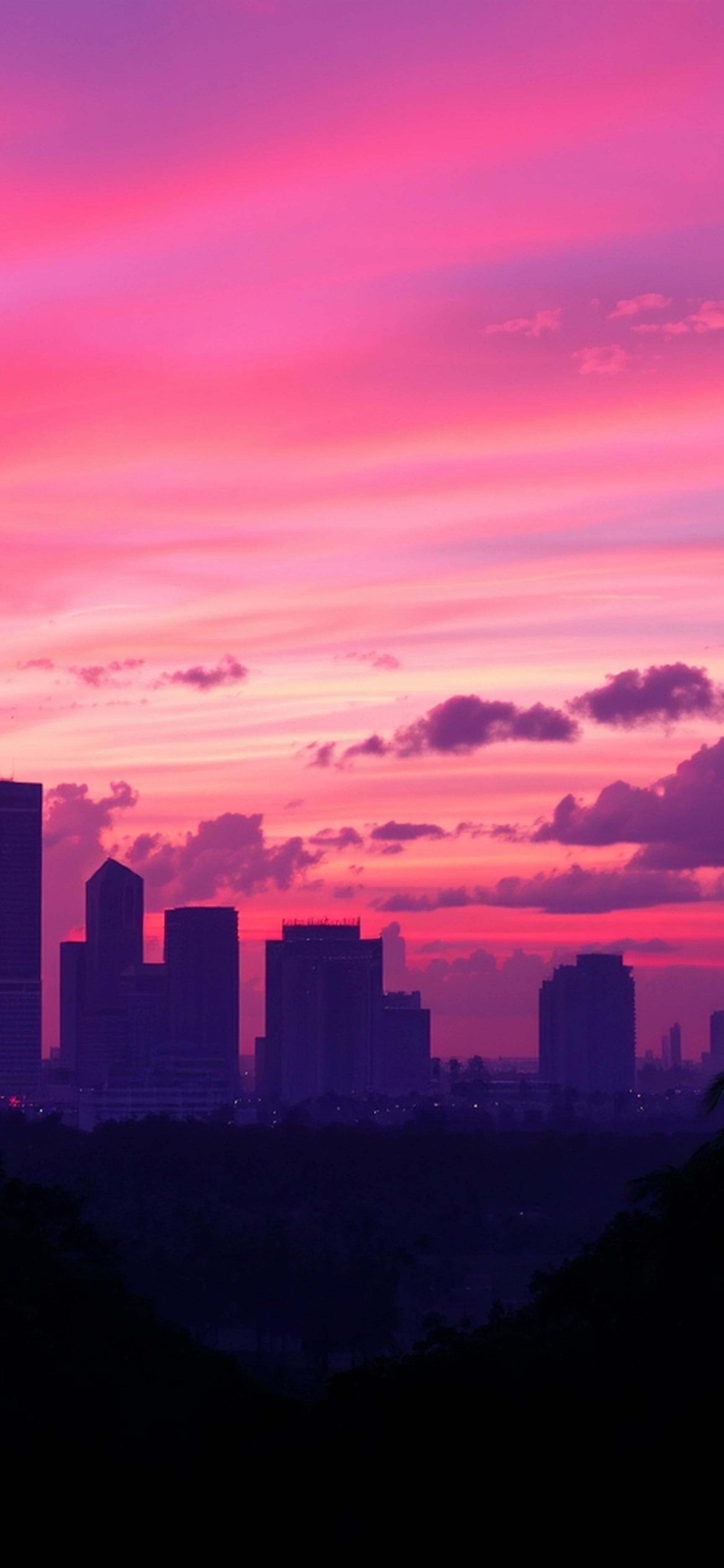 Miami Skyline Sunset With Sunset Purple And Pink And Palm Trees — Free ...