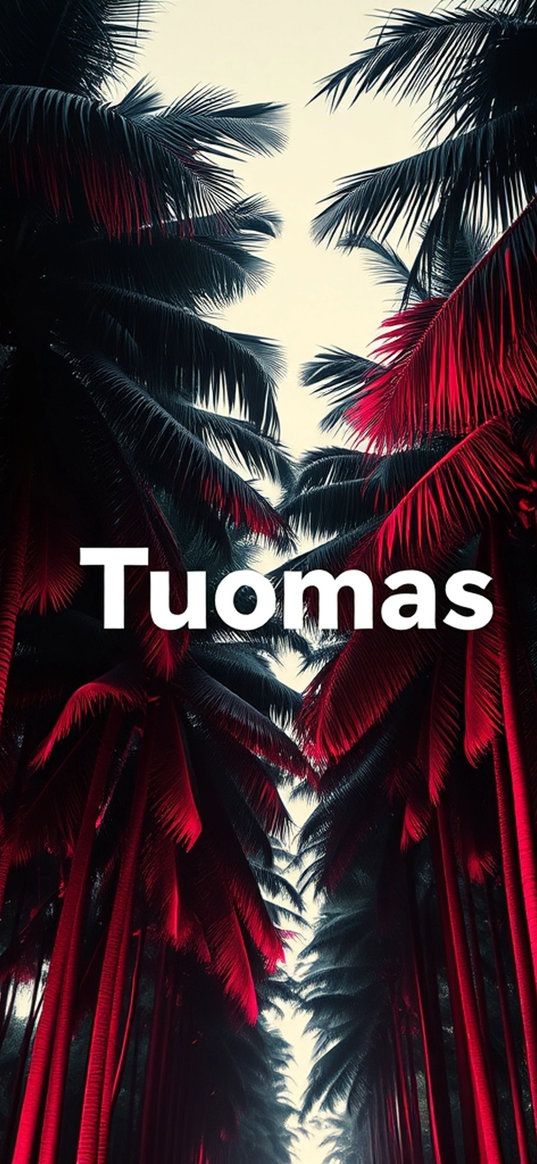 Miami Vice Graphic Style Photo With Palm Trees And The Text Tuomas. Use ...