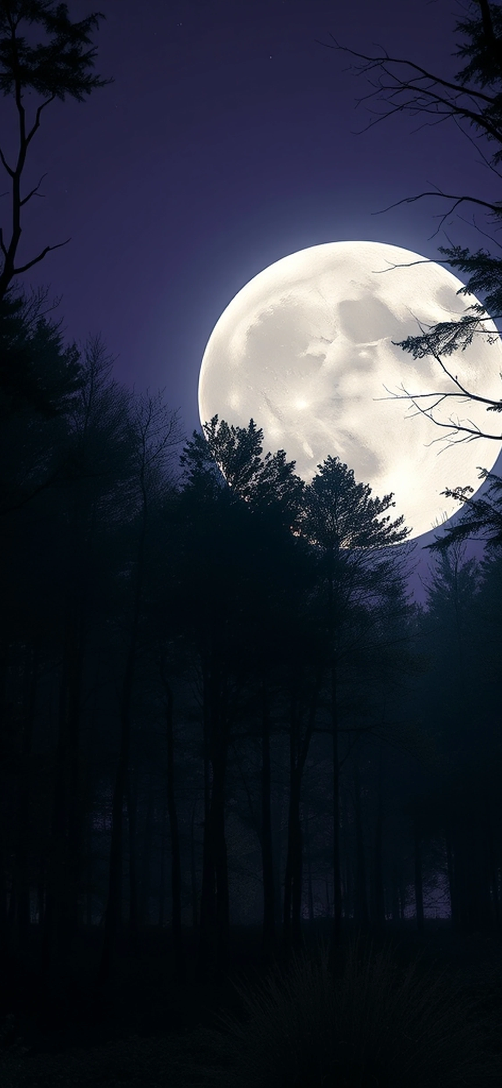 Pagan Themes Full Moon Over A Forest On Halloween — Download Free ...