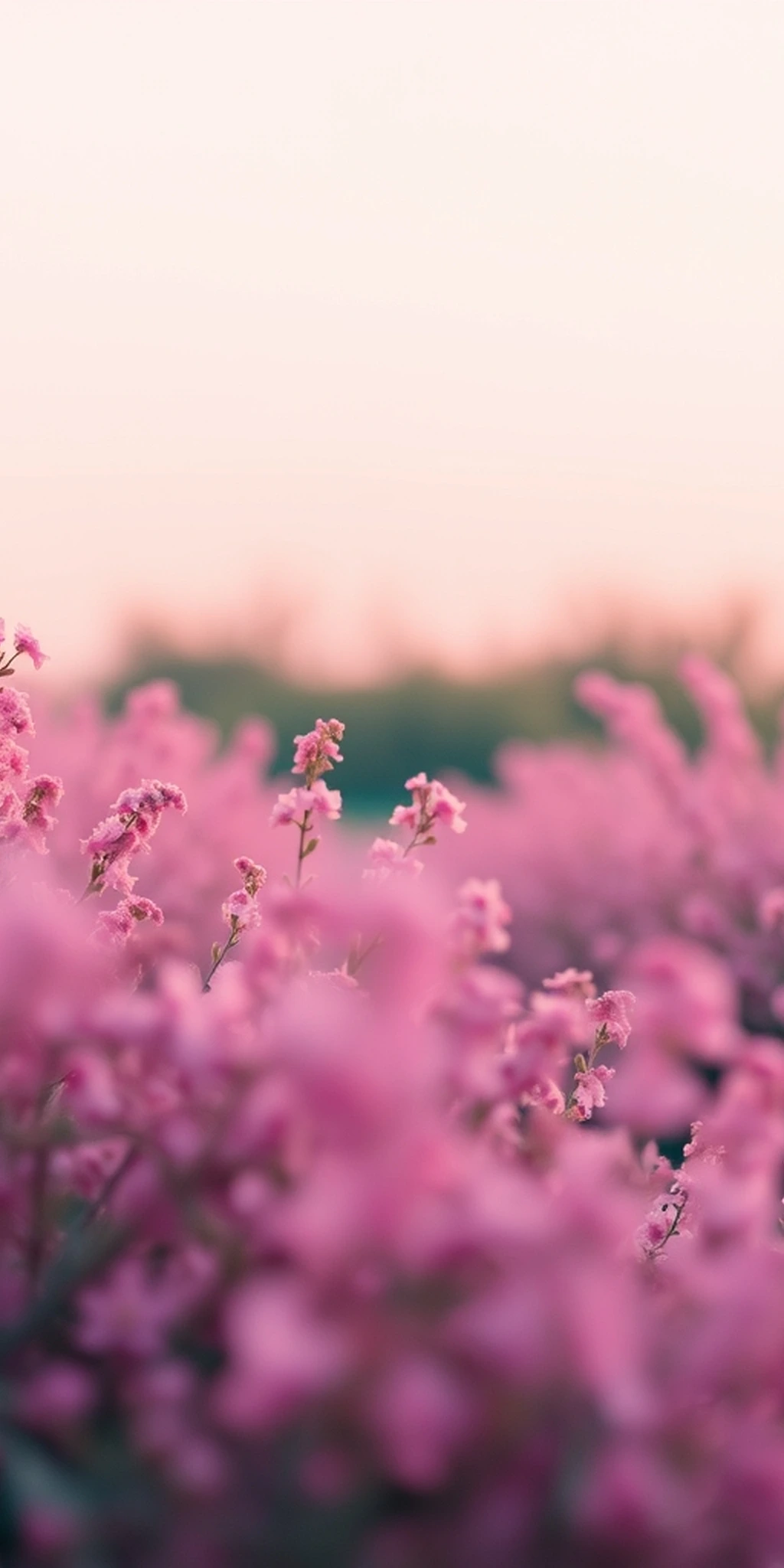 Pink Blue Nature Scene With Spatial Depth iOS 26 — Free iPhone ...