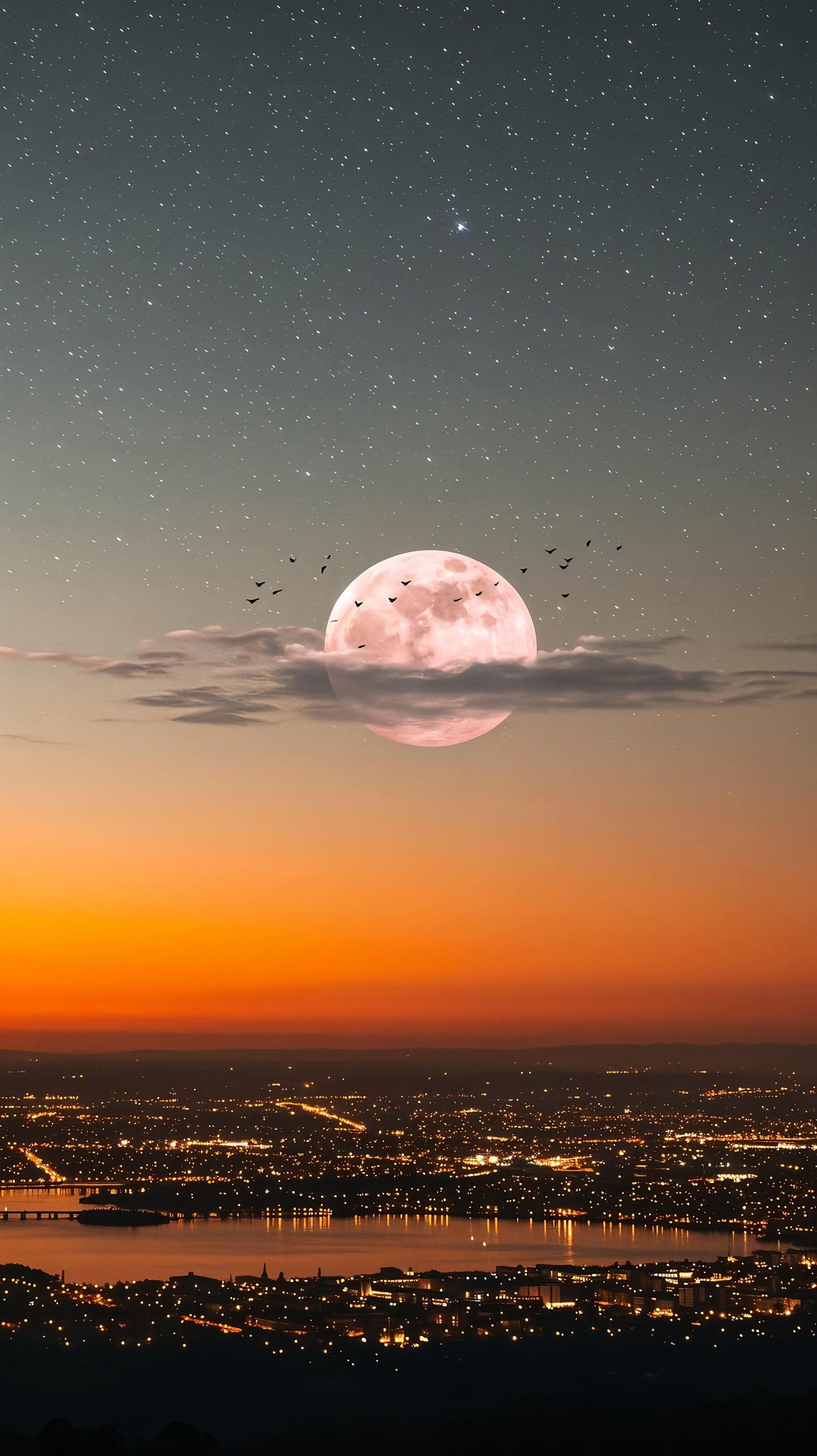 Moon With Clouds And Birds Above City Best Unique Creative Free 4K ...