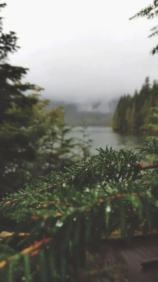 Nature And Landscape Dark Cloudy Day Best iPhone Wallpapers Backgrounds ...