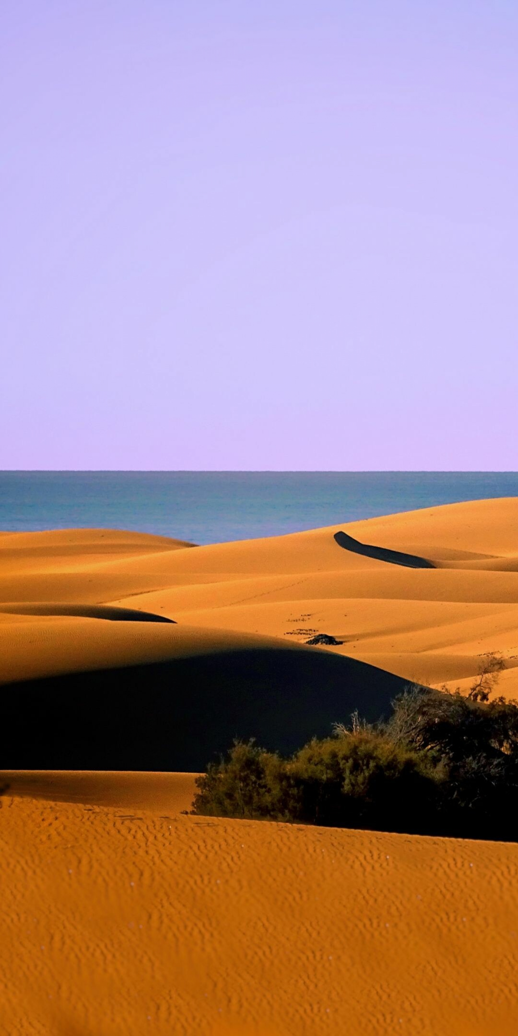 Sahara Desert With Sea — Free iPhone Wallpaper (4K/HD) | 2025