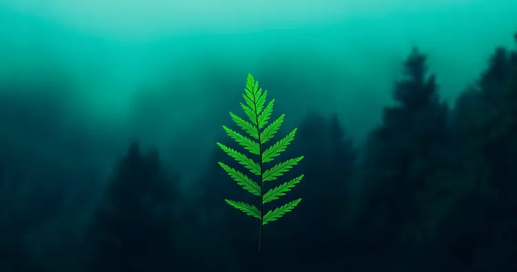 Plants And A Wallpapers – Download Free 4K/8K Backgrounds