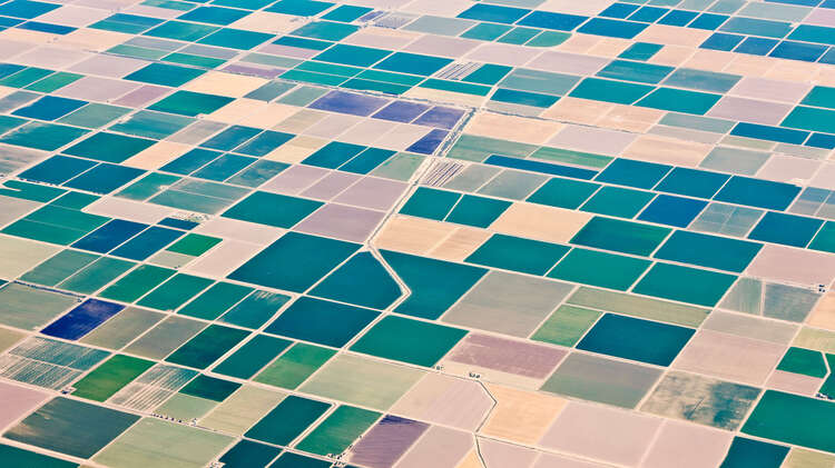 Plots Wallpapers – Download Free 4K/8K Backgrounds